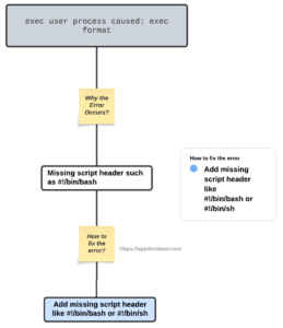 How to Fix exec user process caused: exec format error