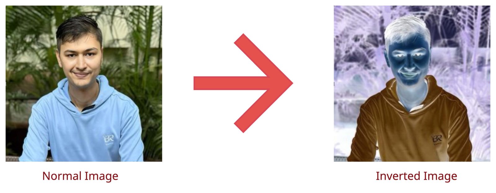 How to Invert an Image with Python