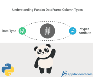 How to Get the Data Type of Column in Pandas DataFrame