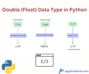 Double (Float) Data Type in Python