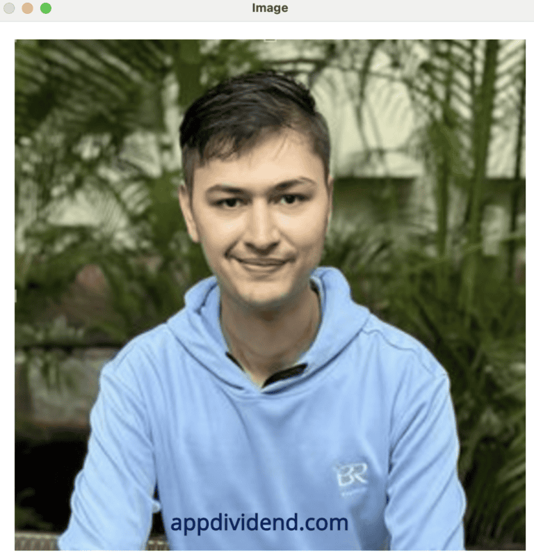 How to Read an Image in Python using Various Ways